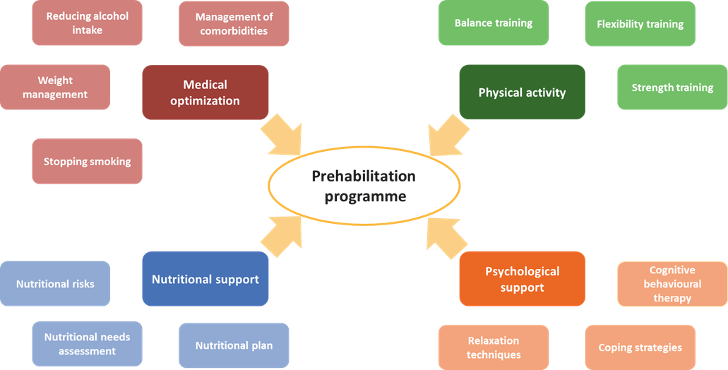 How could prehabilitation help in MS? - MS Brain Health - Multiple Sclerosis Brain Health initiative